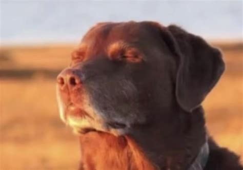 Fem Alexis Ness Personaggi Femminili Disegno Manga Personaggi