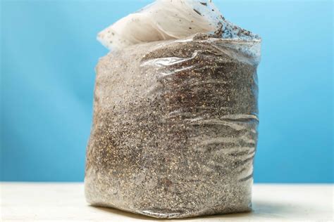 The Ultimate Compost Growth Substrate Fast Colonization Robust