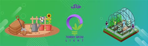 خاک شنی چیست؟ آشنایی با انواع خاک شنی فروشگاه تهران گرولایت