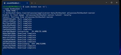 How To Install Bitbucket On Ubuntu Using A Docker Container Cloudspress