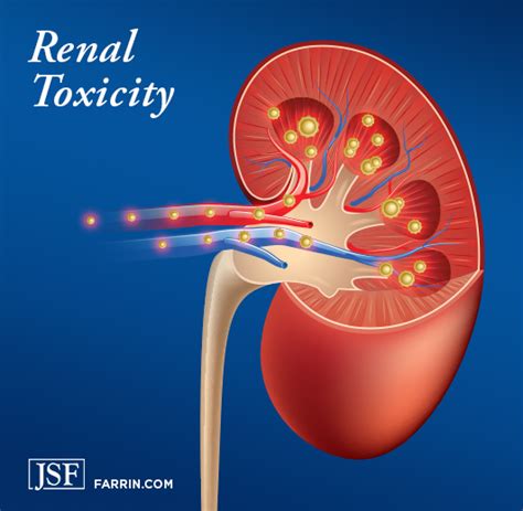 Renal Toxicity Camp Lejeune And The Fight For Justice James Scott