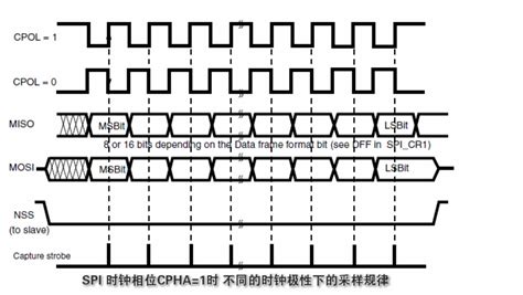 Spi通信协议详解，一篇就够！spi通信协议原理 Csdn博客