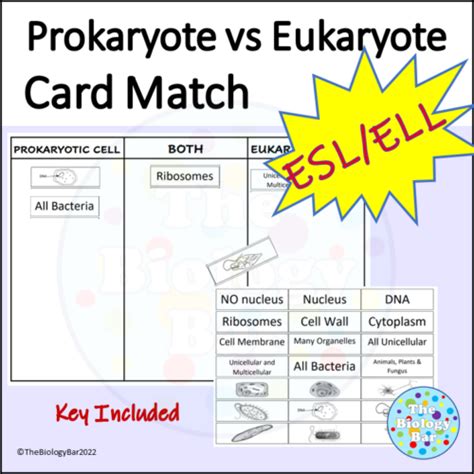 Esl Biology Prokaryote Vs Eukaryote Card Sort Made By Teachers
