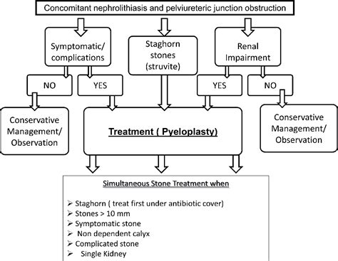 Ureteropelvic Junction Obstruction Stone