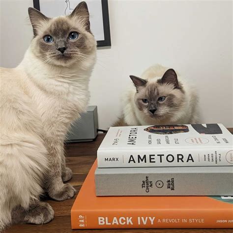 How To Stay Lean In Fashion Ecommerce Rob Mckenzie Posted On The