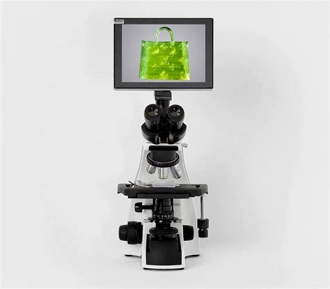 Microscopic Louis Vuitton Bag Sells For 63k Get Ahead