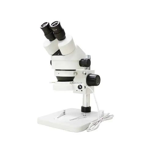 10x Binocular Stereo Microscope Digital Laboratory Microscope Binocular
