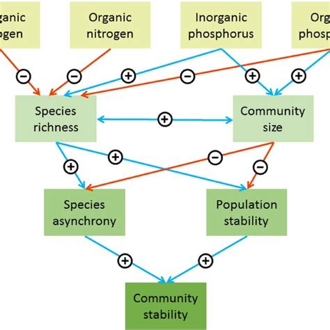 Conceptual Framework Describing The Expected Effects Of Soil Nutrients