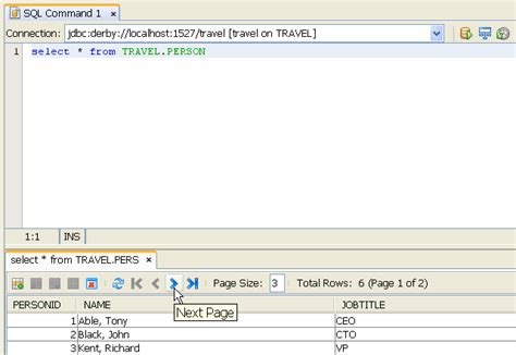 Database Explorer In Netbeans 65 Brewed Netbeans