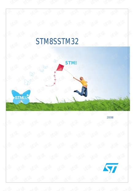 Stm8s与stm32微控制器选型指南 Csdn文库