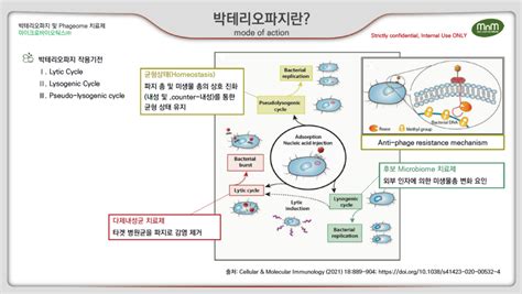 마이크로바이오틱스 박테리오파지 분야 퍼스트 무버 되겠다 Media