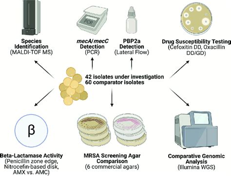 Experimental Schematic Overview Of Diagnostic Methods Employed To Download Scientific Diagram