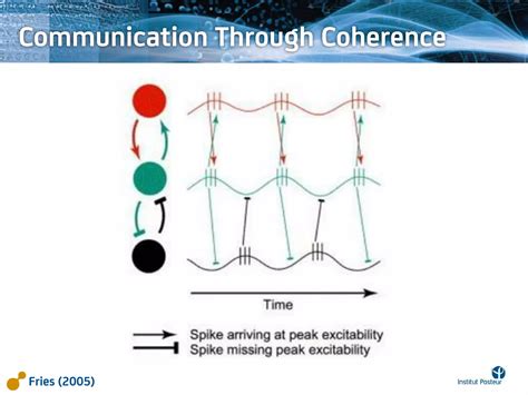 Computational Social Neuroscience Of Interpersonal Coordination
