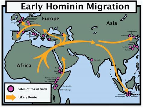 Early Humans Migration Map Activity With Questions By Shoestring Hill