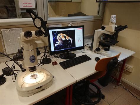 Laboratory Of Benthic Ecology Biological Geological And Environmental Sciences