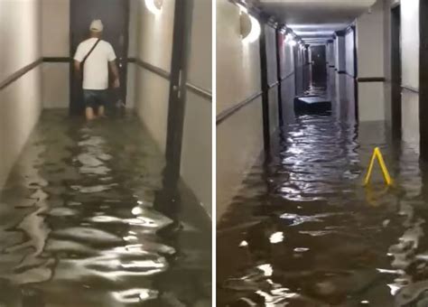 30 Photos From The Apocalyptic Flooding That Hit New York City Bored Panda