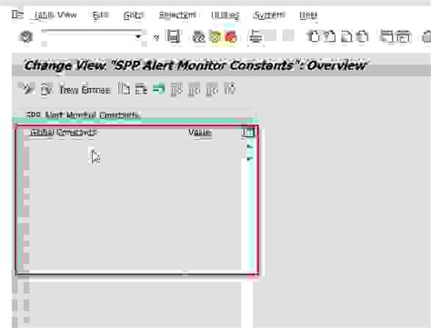 Define Global Constraints In SAP