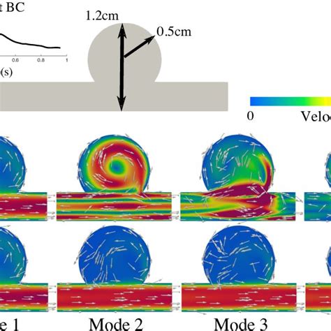The First Four Proper Orthogonal Decomposition Pod And Dynamic Mode