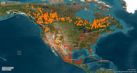 2023 Forest Fires Burning Records Bedi Studios