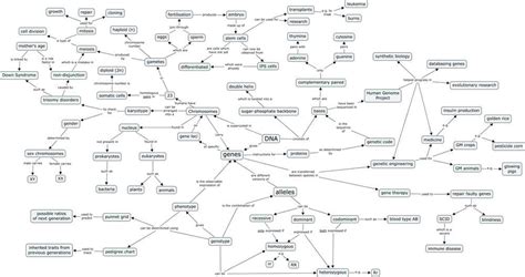 Dive Into The Complexities Of Dna With Our Comprehensive Concept Map
