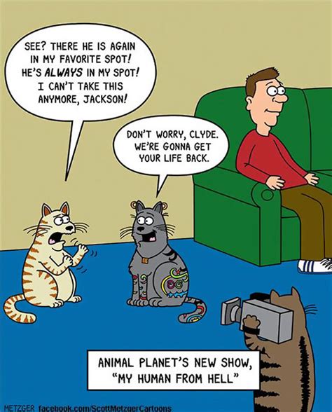 Cat Comics That Purrfectly Illustrate Cat Logic Meowingtons