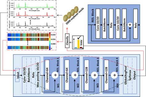The Soybean Seeds Classification Flowchart Including Data Input