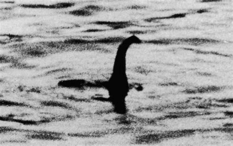 Turismo De Críptidos Está En Crecimiento H1 Hey Diario Digital