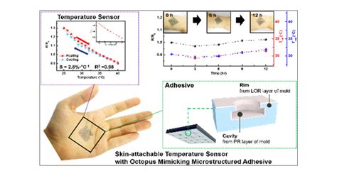 Fabrication Of High Sensitivity Skin Attachable Temperature Sensors With Bioinspired