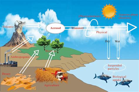 Schematic Of Aerosols Impacts On The Ocean Atmospheric Particles