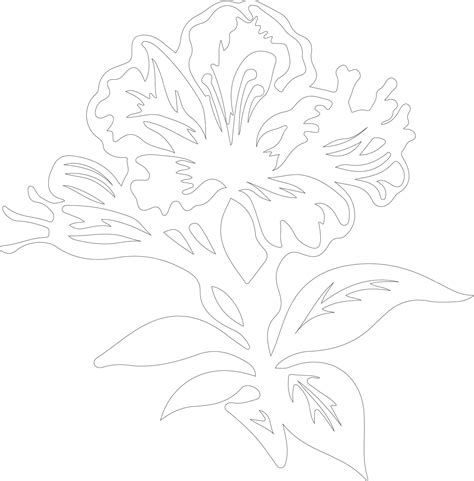 Premium Vector Rhododendron Outline Silhouette White Background