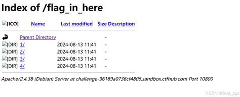 Ctfhub Web 信息泄露(超详细、新手推荐) Csdn博客 Ctfhub Web 信息泄露(超详细、新手推荐) Csdn博客
