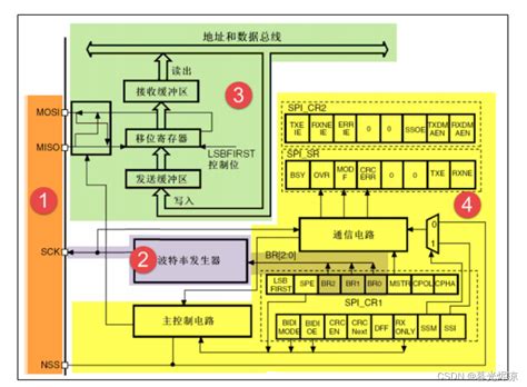 关于stm32oled显示屏的简单应用如何将stm32与显示屏相连 Csdn博客