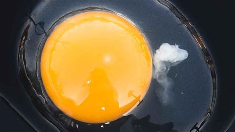 6 მითი კვერცხის შესახებ რომლებიც აჯობებს დღესვე დაივიწყოთ Gemrielia Ge