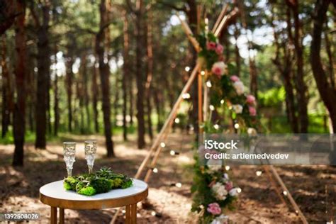 분홍색 장미로 장식 된 나무 막대로 만든 보헤미안 티피 아치 카펫에 촛불 팜 패스 잔디 소나무 숲의 야외 결혼식 장소에 요정 조명에 싸여 플로리스틱 컴포지션 0명에 대한