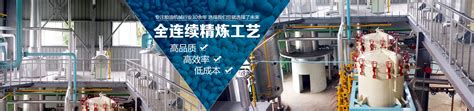 核桃油精炼设备 精炼油设备 浸出设备河南省宏德粮油机械公司