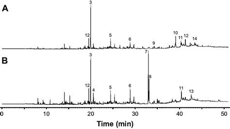 Gc Ms Fingerprints Of C Cicadae And P Cicadae Notes A Gc Ms Download Scientific Diagram