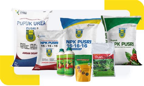 Brosur Laundry Menarik Png Contoh Brosur Sederhana Images And Photos Finder