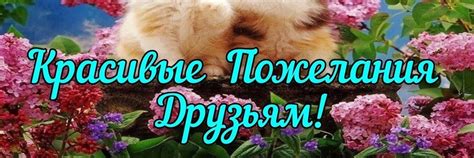 Вам просили передать Открытки № 4925735993 Открытки для друзей 2025 ВКонтакте