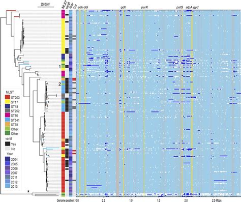 Clonal Phylogeny And Inferred Recombination Events Midpoint Rooted Download Scientific Diagram