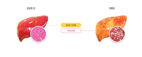 진료내용 서울척병원