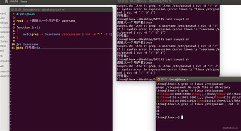 Bash脚本实践:函数操作、文件查找与权限管理 Csdn博客 Bash脚本实践:函数操作、文件查找与权限管理 Csdn博客