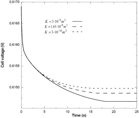 the effect of gdl permeability on the transient evolution of the cell