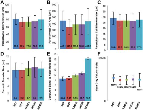 Summary Of Morphometric And Quantitative Data For Entire Parenchymal
