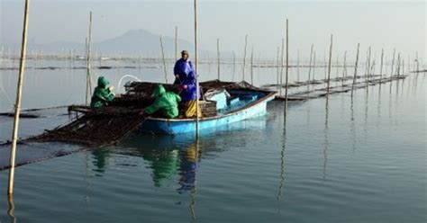 어장 청소 않는 어업인 이제는 ‘이행강제금 폭탄 맞는다