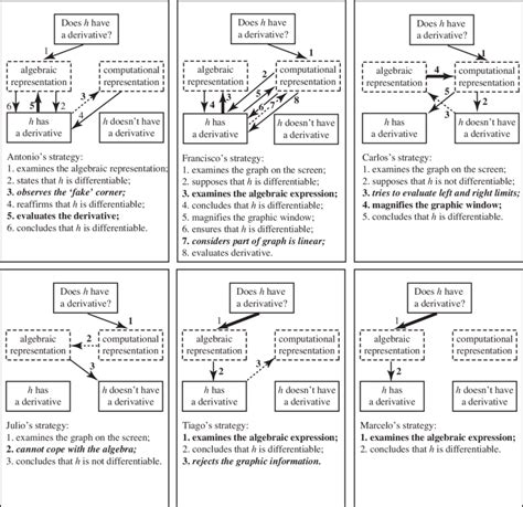 Participants Strategies On Investigating The Differentiability Of H