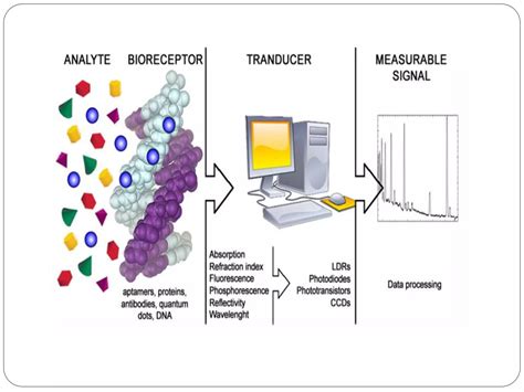 Rapid Methods Of Detection Of Food Borne Pathogens Pptx
