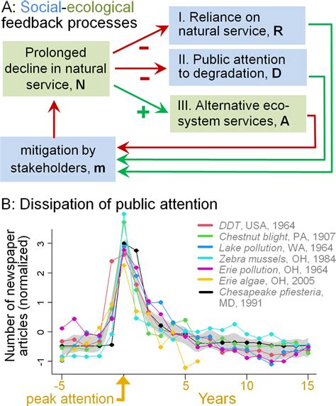 Coupled Social Ecological Feedbacks Affect Stakeholder Mitigation A