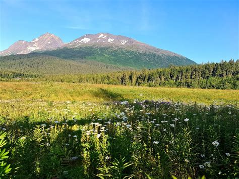 אלסקה אלבום