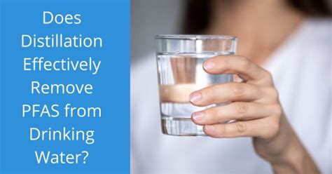 Does Distillation Effectively Remove PFAS From Drinking Water Living Whole