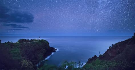 What Is A Pidgin What Is A Pidgin